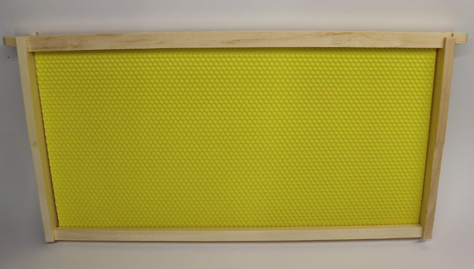 Deep Frames – The Bee Spot