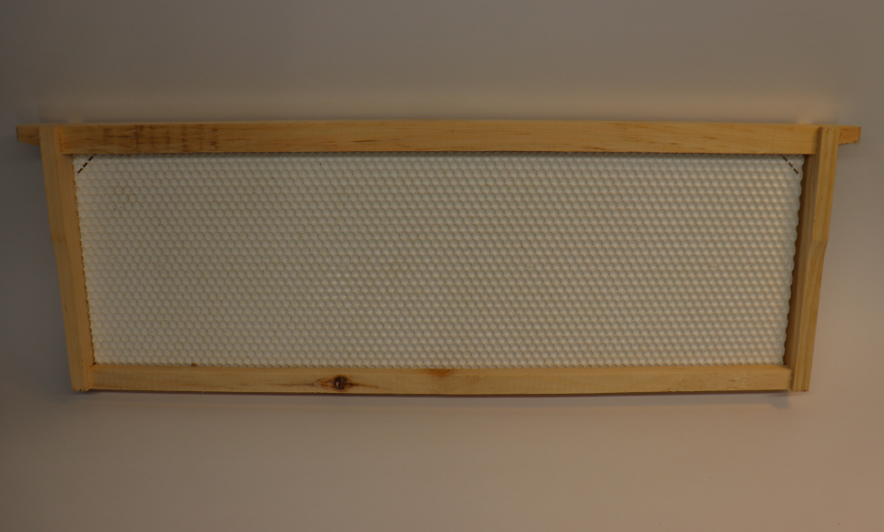 Medium Frames – The Bee Spot